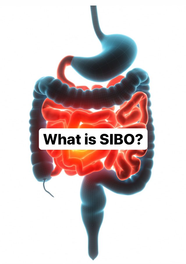What the heck is SIBO? | Aranka Jones